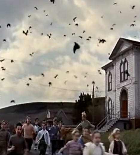 Scary Movies: The Birds – Nicholas Bruner